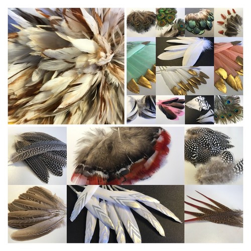 40 Types Natural Feathers Peacock Rooster Goose Guinea Duck Pheasant ...