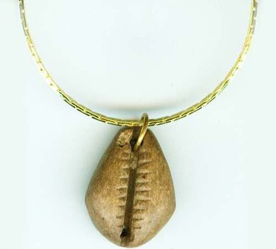 BC800 Ancient Hand Carved Wood Cowrie Sea Shell Money Amulet Zhou ...