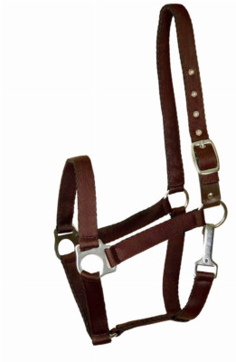 Gatsby Ultra Soft Nylon Safety Halter Brown Horse | eBay