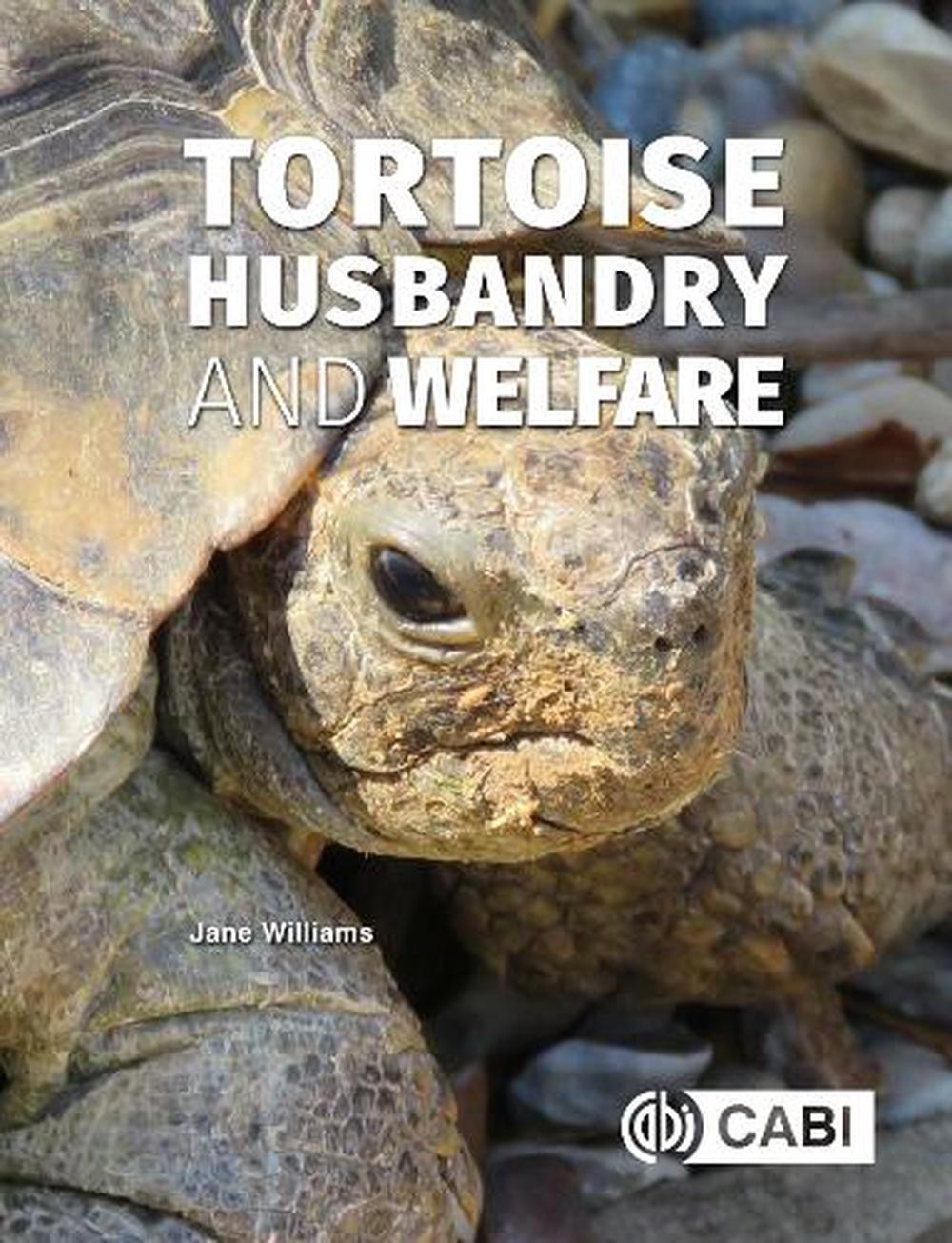 Tortoise Husbandry and Welfare by Jane Williams Paperback Book ...