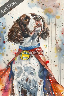 Dog English Springer Spaniel in superhero cape water Art 4x6 Print | eBay