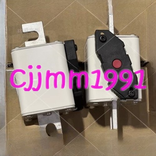 1PC NEW Bussman 170M3418 fuse #TX | eBay