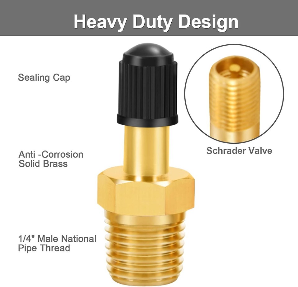 1/4" Npt Tank Valve Anticorrosion Brass Schrader Valve With 1/4" Male ...