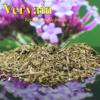 BLUE VERVAIN ORGANIC Herbal Tea Verbena officinalis Dried Herb PURE ...