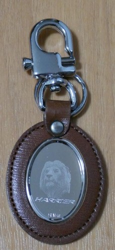 HARRIER HARRIER KEY CHAIN #a88da4 | eBay