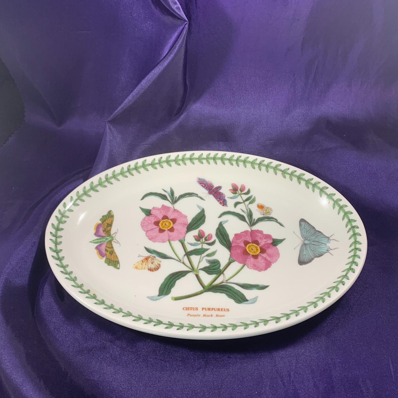 PORTMEIRION BOTANIC GARDEN OVAL STEAK PLATE 10" - PURPLE ROCK ROSE | eBay