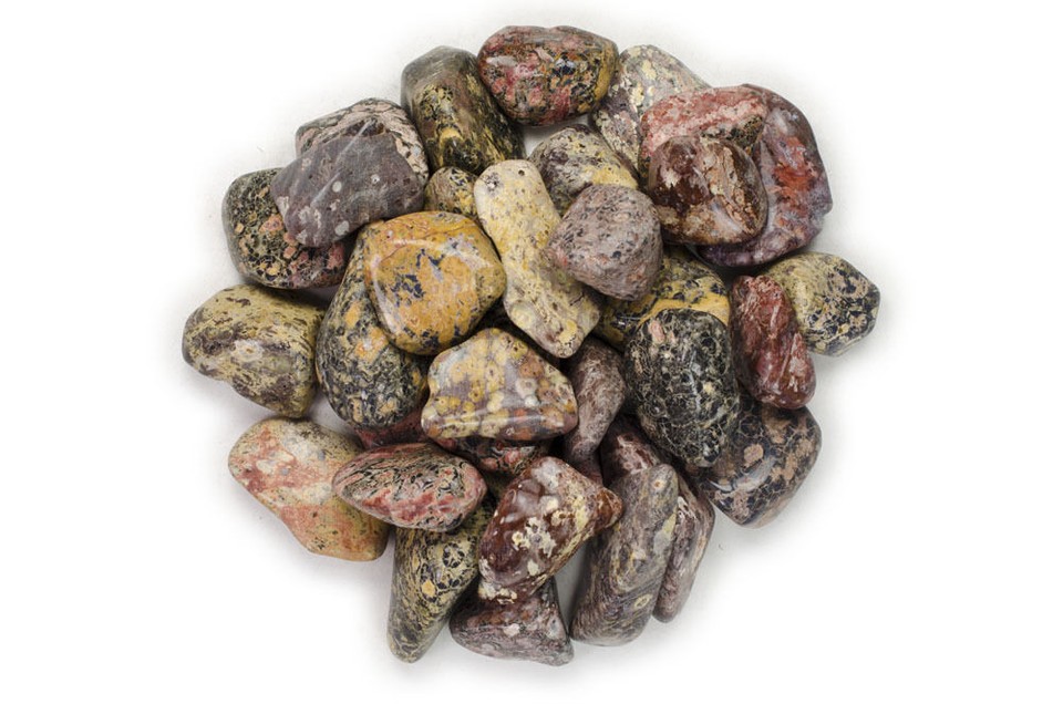 50g Tumbled Leopard Skin Jasper Gemstone Crystals 10-25 Stones Gem Rock ...