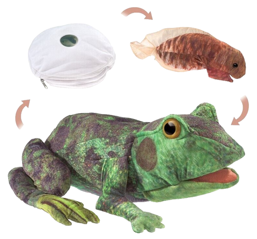 Life Cycle Frog Folkmanis Hand Puppet Retired 3 Stage Metamorphosis ...