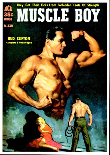 Paperback & Pulp Fiction Cover Art Muscle Boy Postcard | eBay