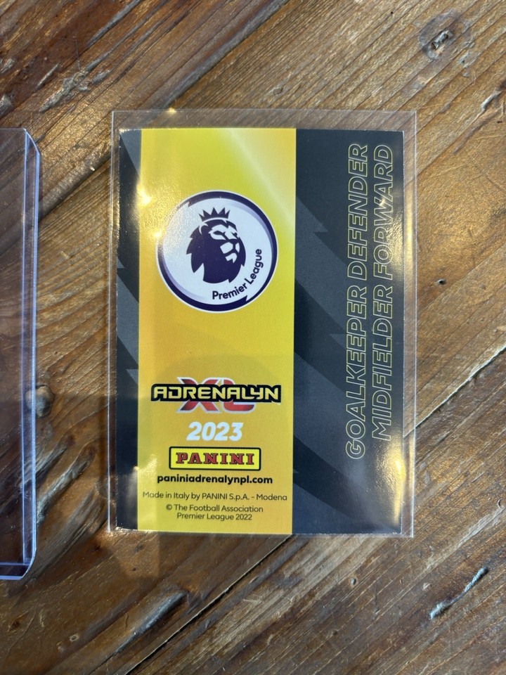 Panini Adrenalyn XL Premier League 2023 Invincible Card | eBay UK