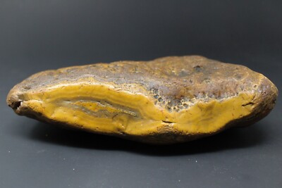 Black River agate rough uncut collector specimen (From the new deposit ...