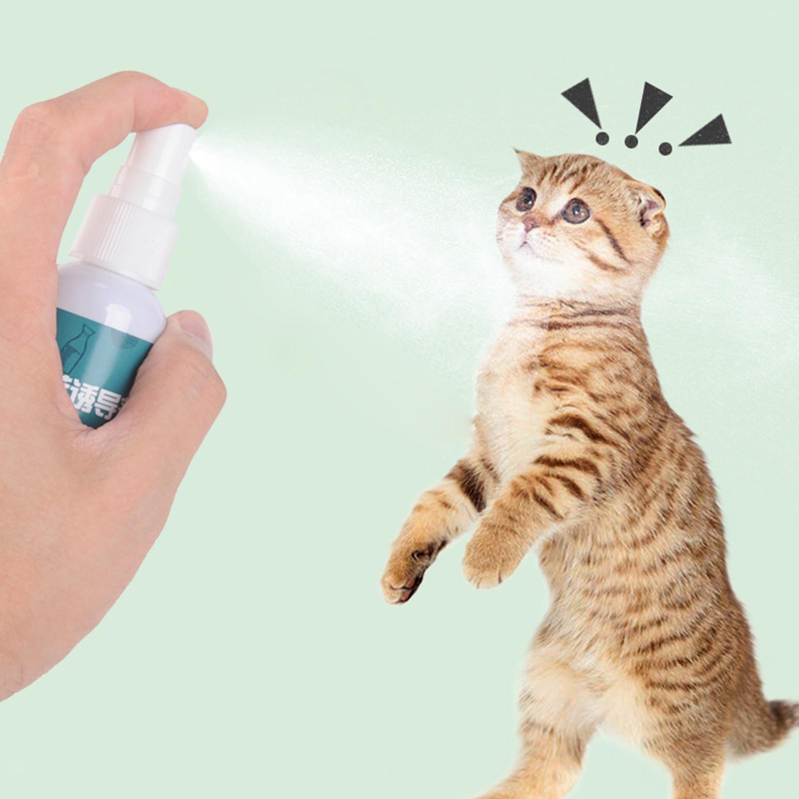 Catnip Spray for Cats for Indoor Cats and Kittens Pet Accessories 50ml ...