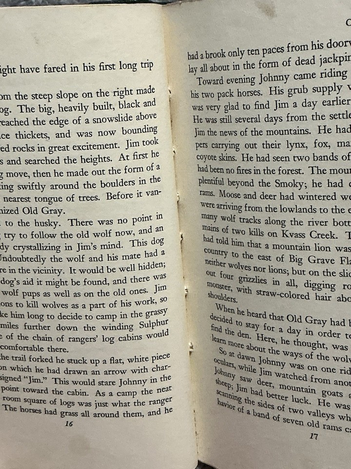 The Wolf King Joseph W. Lippincott 1949 Second Impression + Old 1954 ...