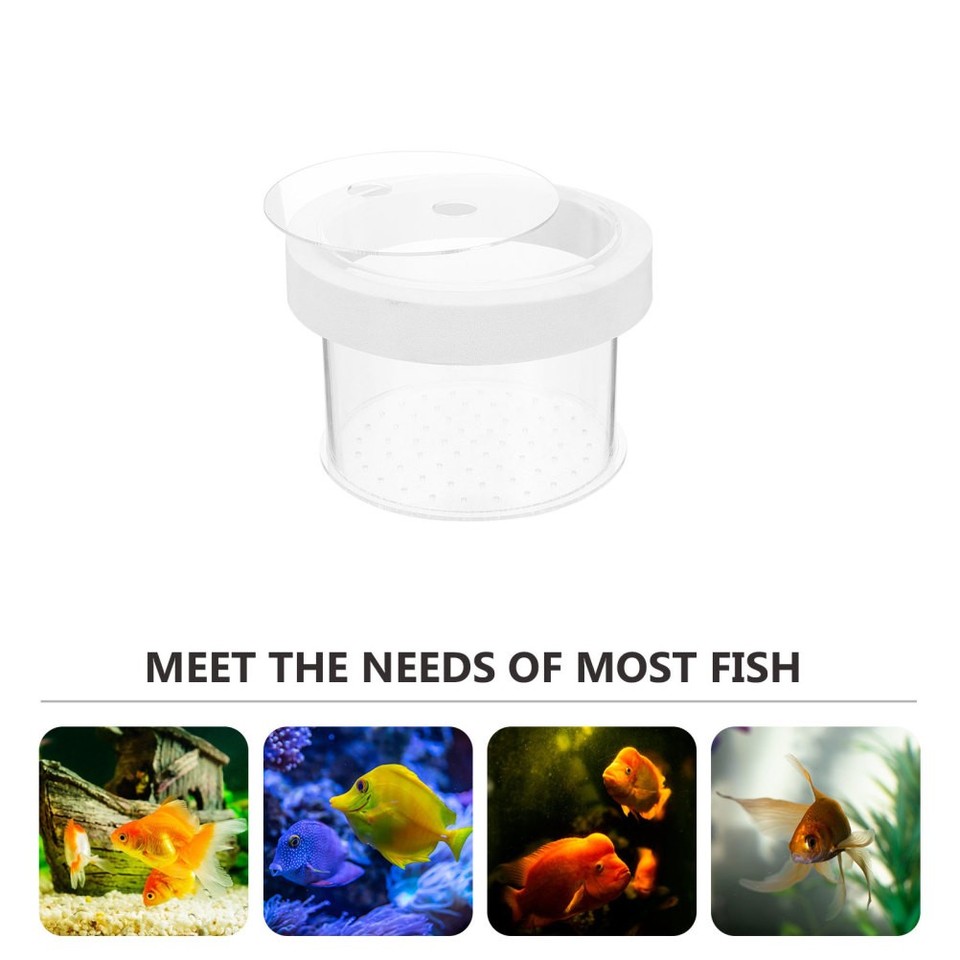 Floating Fish Tank Aquatic Habitat Breeding Box Aquarium Divider ...