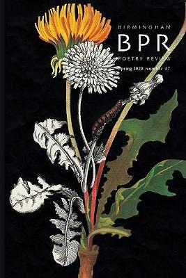 Birmingham Poetry Review by Adam Vines (Paperback, 2020) for sale ...
