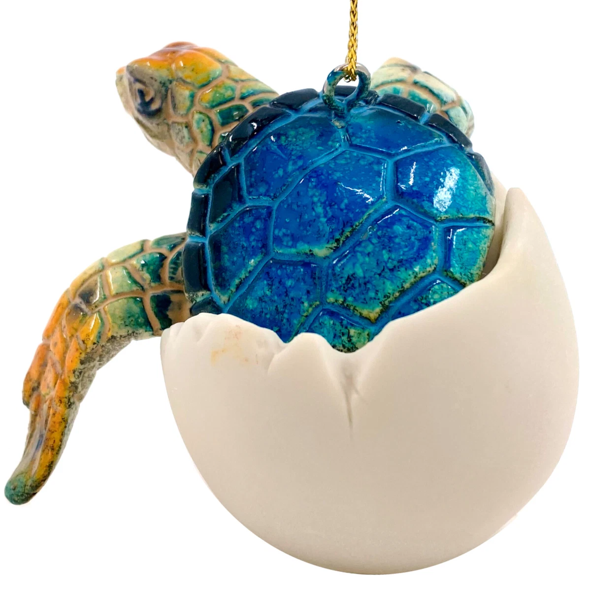 Blue Baby Turtles