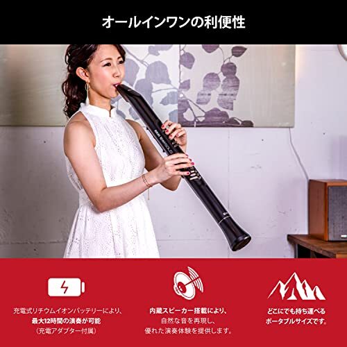 Akai Pro EWI Solo Wind Synthesizer Electronic Wind Instrument Built-in ...