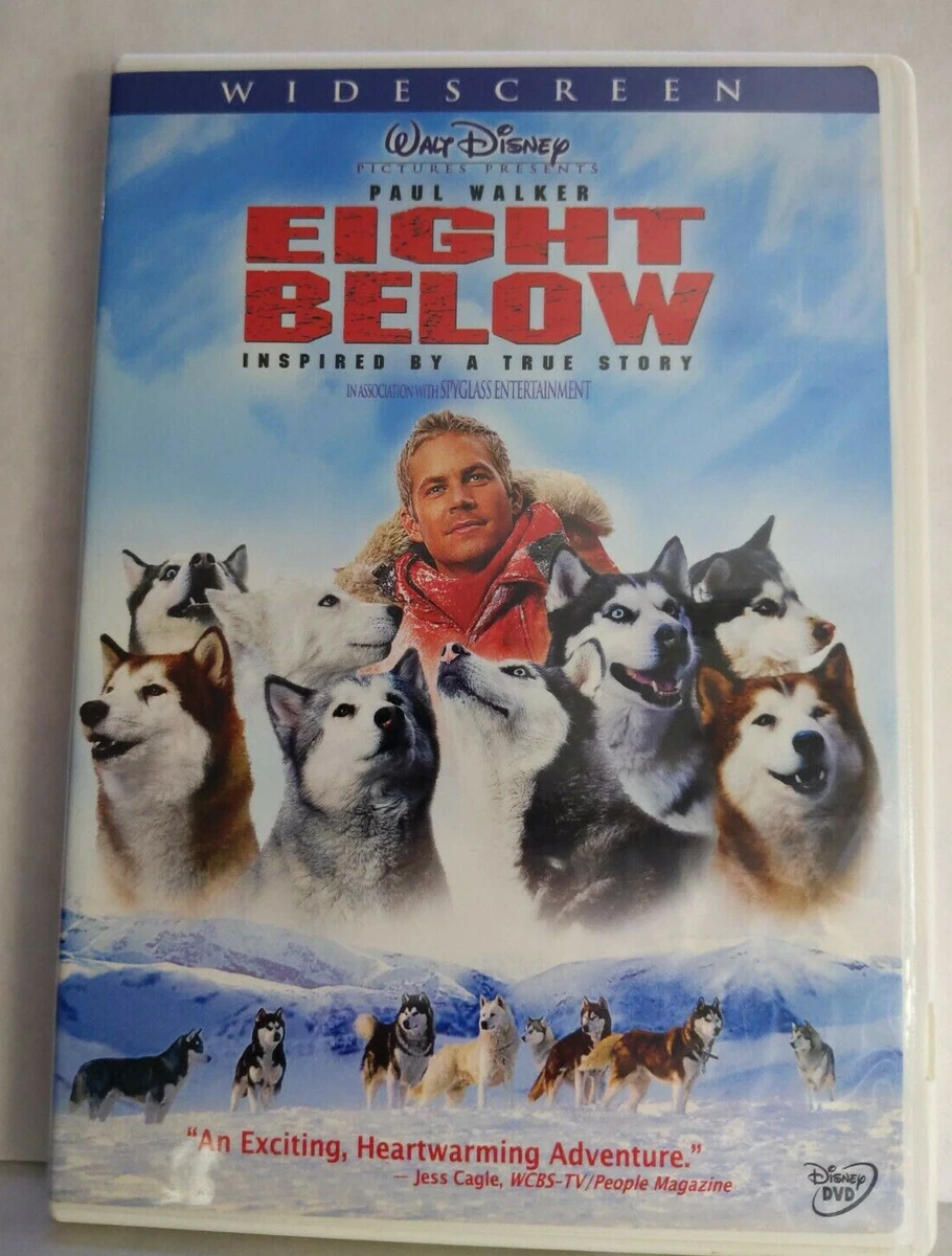Eight Below Online