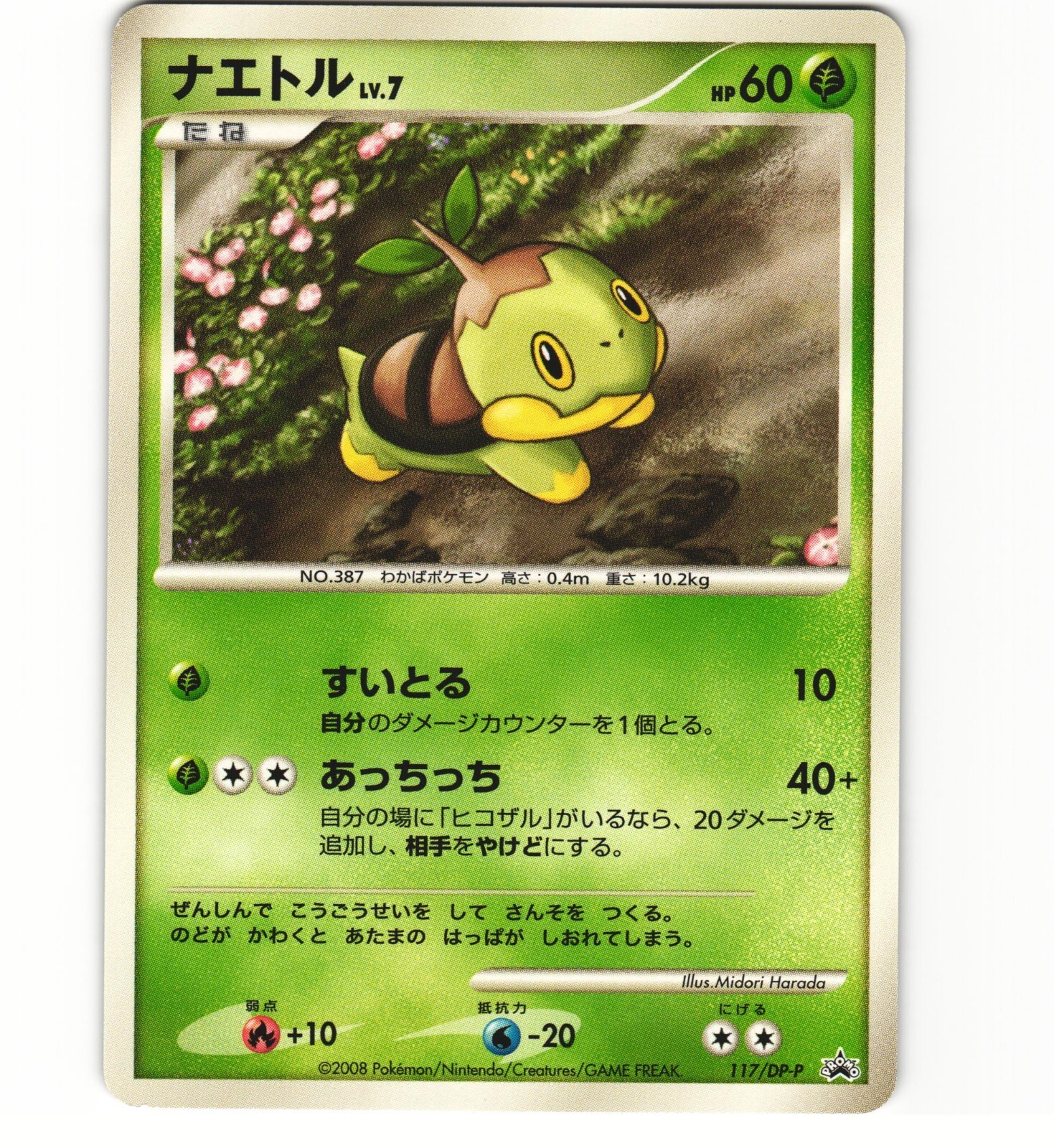 Turtwig 117/DP-P Collection Challenge Promo Japanese Pokemon Card (LP ...