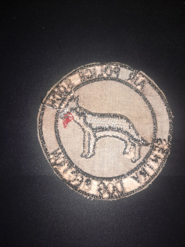 Vietnam War US AF AIR POLICE Squadron SENTRY DOG SECTION Patch | eBay