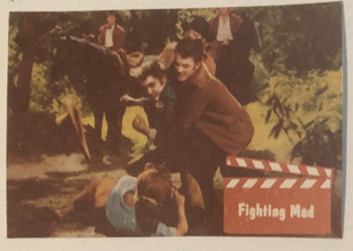 Elvis Presley Vintage Photo Picture Of Trading Card Kodak EP1 | eBay