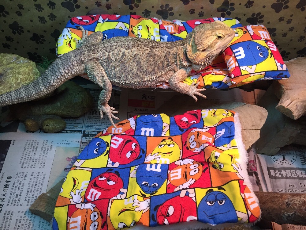 M&M PRINT LARGE ATTACHABLE RESTING SOFT BED COVERS 4 BEARDED DRAGON | eBay