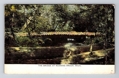 MI-Michigan, The Bridge at Roaring Brook, Vintage Postcard | eBay