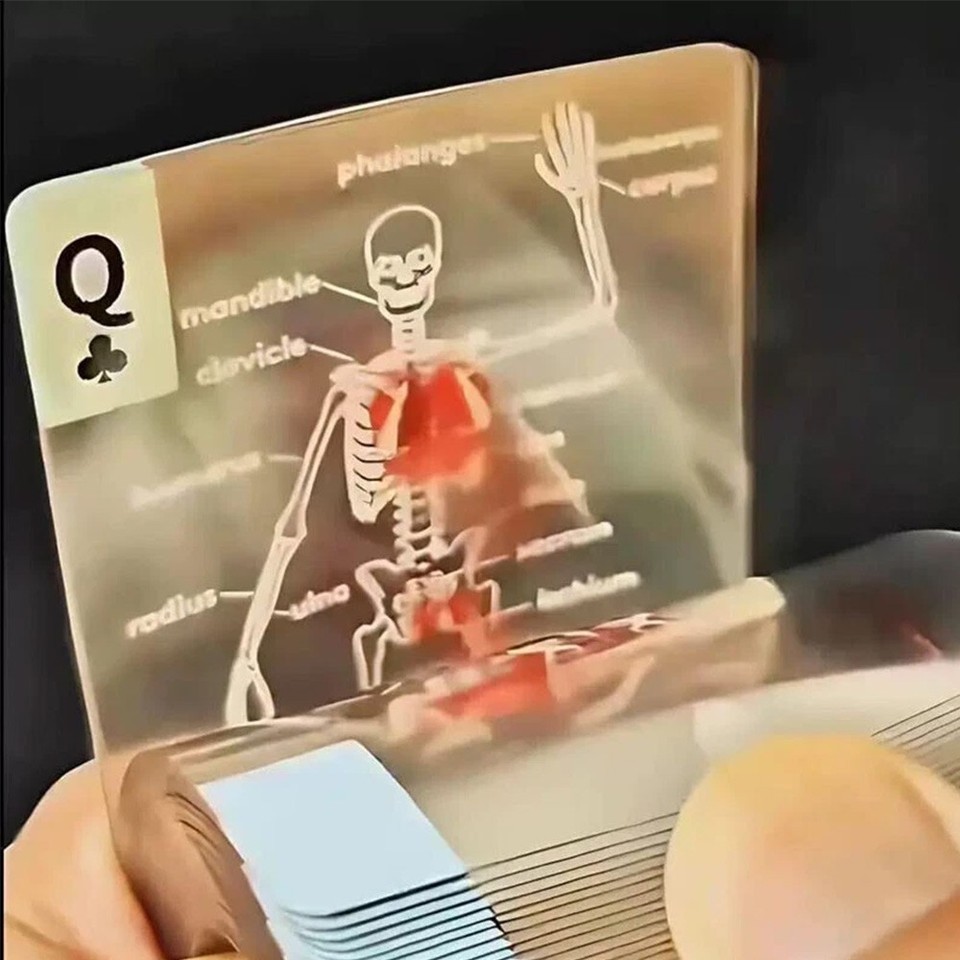 The Body Deck Human Anatomy Poker Playing Cards 3D Image | eBay Australia