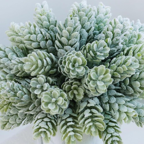 Set of 3 Small Artificial Succulent Potted Plants Fake Aloe Hops String ...