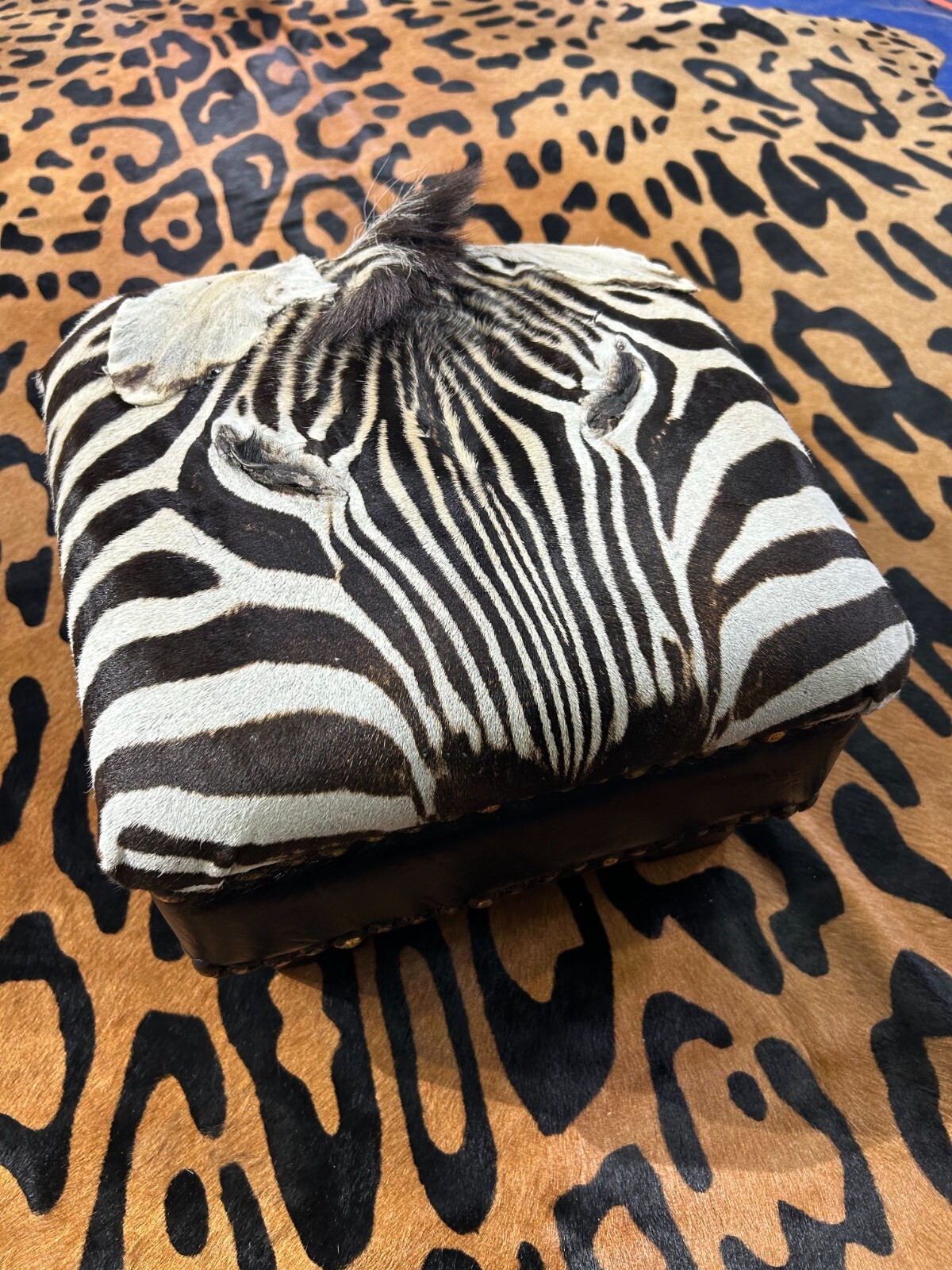 Real Zebra Ottoman 9 H X 13 X 13" Real African Zebra Skin Hair-on Foot ...