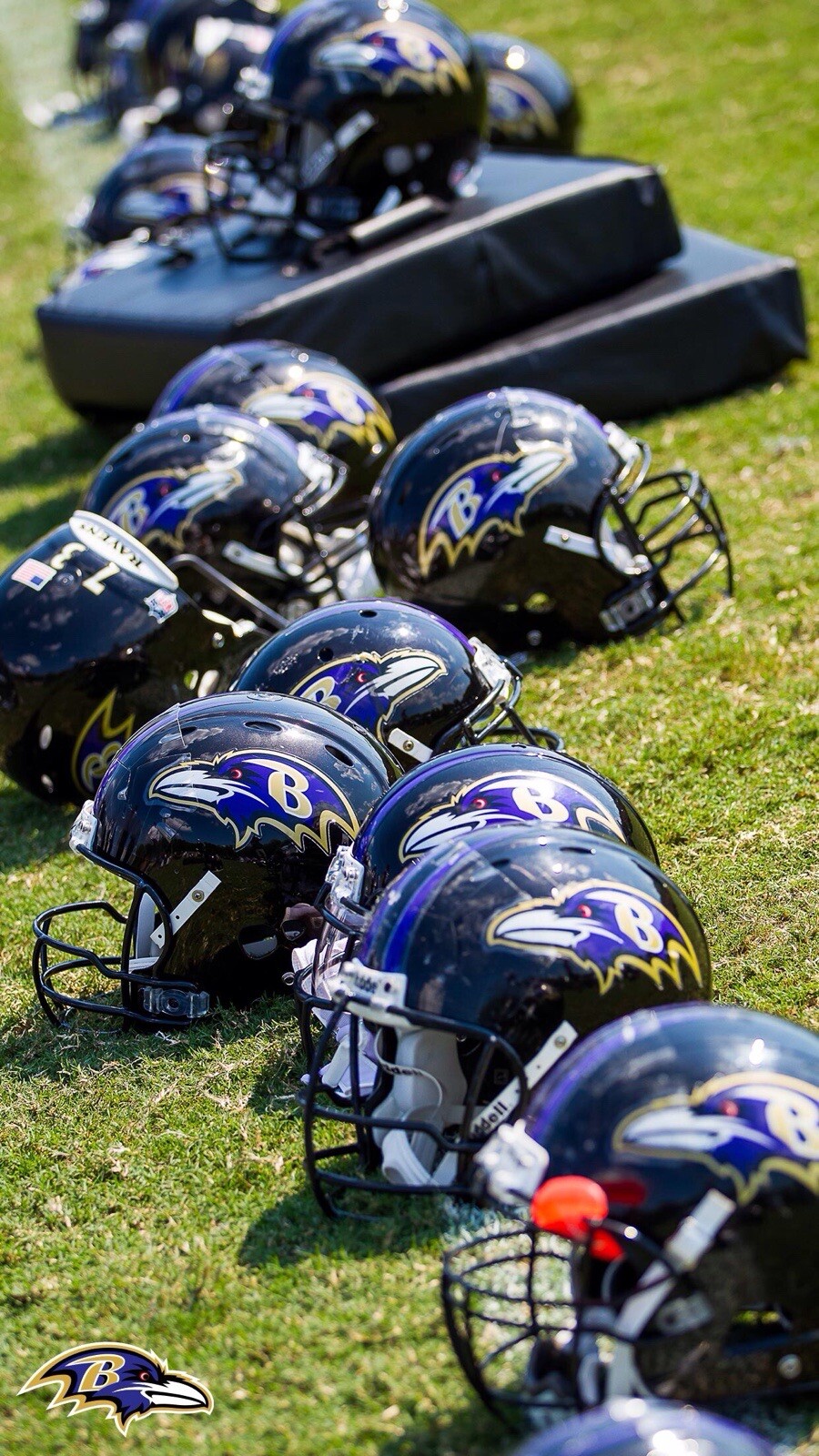 4 Baltimore Ravens Lower Level PSL -Sec 121 Row 24 | eBay