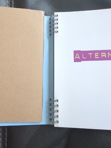 Alternacrafts: 20+ Hi-Style Lo-Budget Projects to Make by Jessica ...