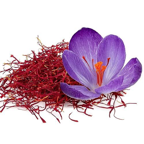 100 Saffron Plant Seeds | eBay