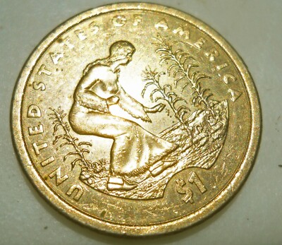 Rare SACAGAWEA $1 dollar Native American coin error no date no mint ...