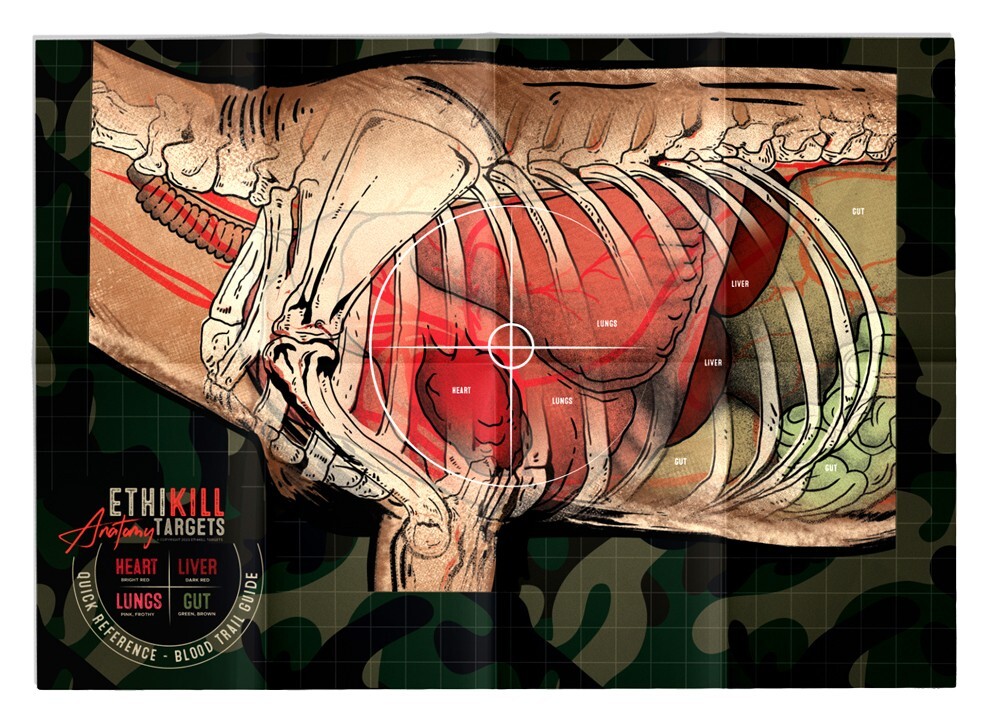 Deer Heart Anatomy