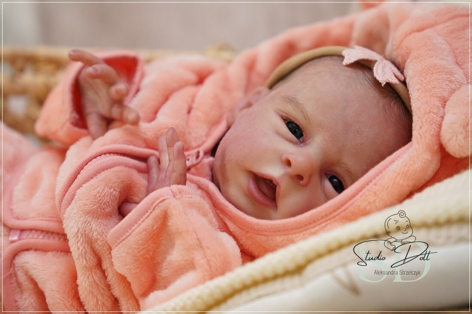 Studio-Doll Baby GIRL reborn Levi by Olga Auer 17 inch | eBay UK