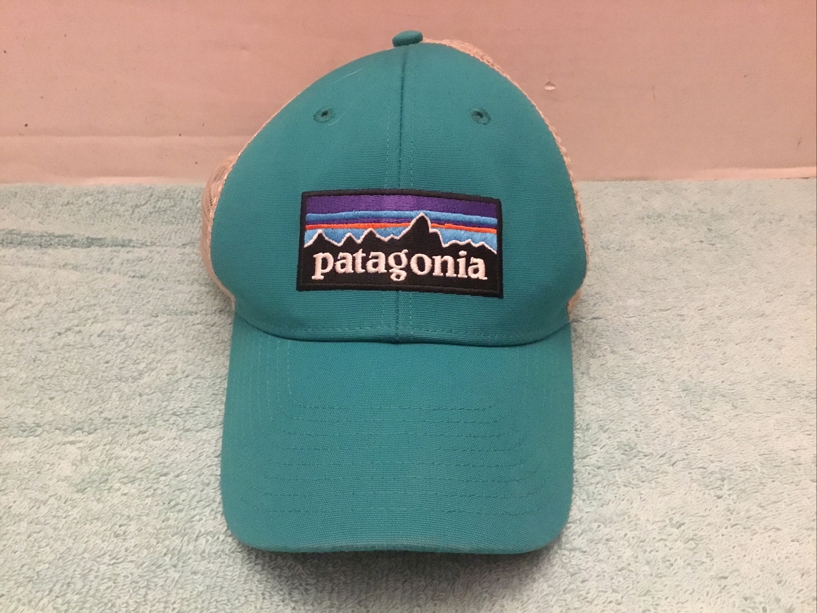 Patagonia Hat Logo Trucker Hat Fitz Roy Horizons Mesh… - Gem