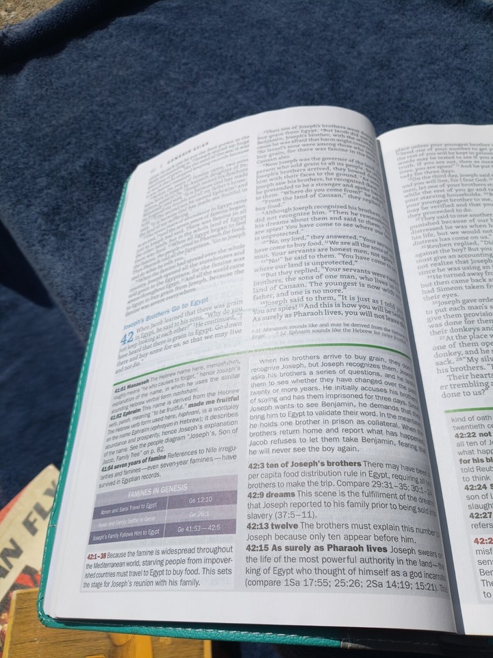 NIV Faithlife Study Bible Duotone Leathersoft Nice Cnd Great Resource ...