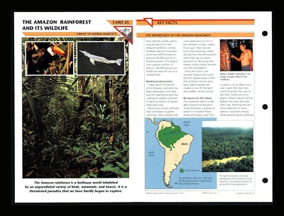 Amazon Rainforest & Its Wildlife Fact File Card World Habitats Home ...