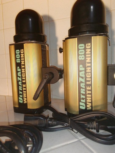 Paul C. Buff Ultra Zap 800 White Lightning | eBay
