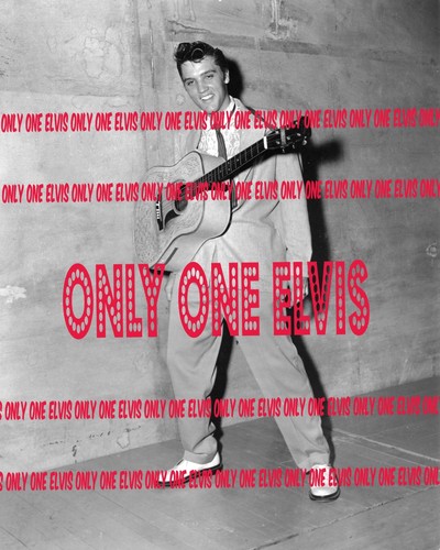 ELVIS PRESLEY 1955 Backstage OVERTON PARK SHELL 8x10 Photo MEMPHIS ...