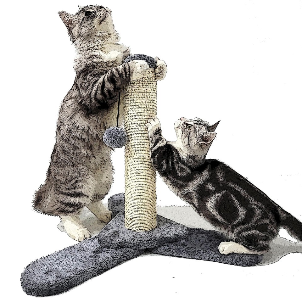 HeyKitten 34" Tall Cat Scratching Post with Sturdy Tripod Base Dangling ...