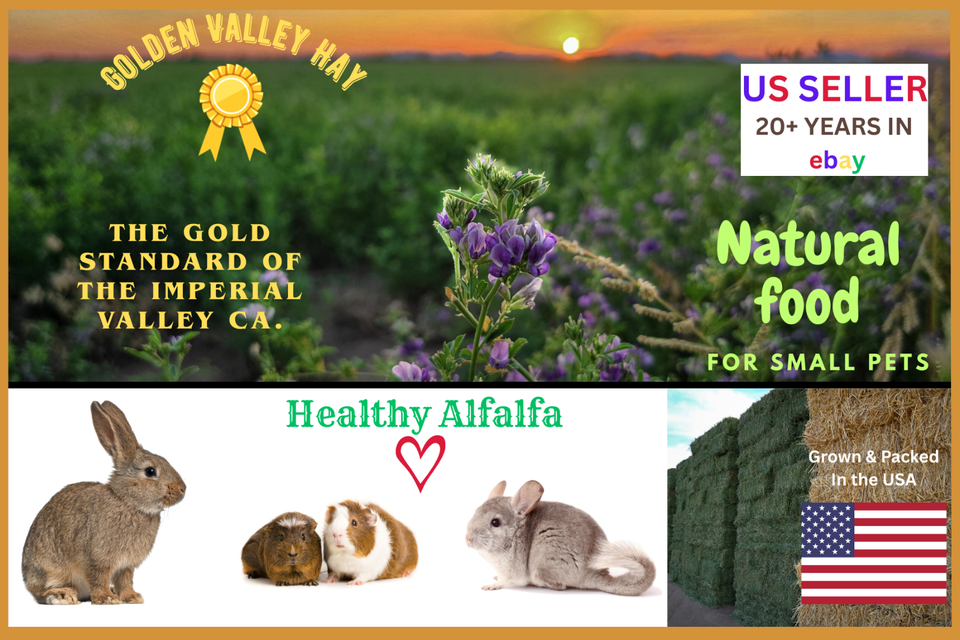 Alfalfa Golden Valley Hay for Small Pets Rabbits Guinea Pigs | eBay