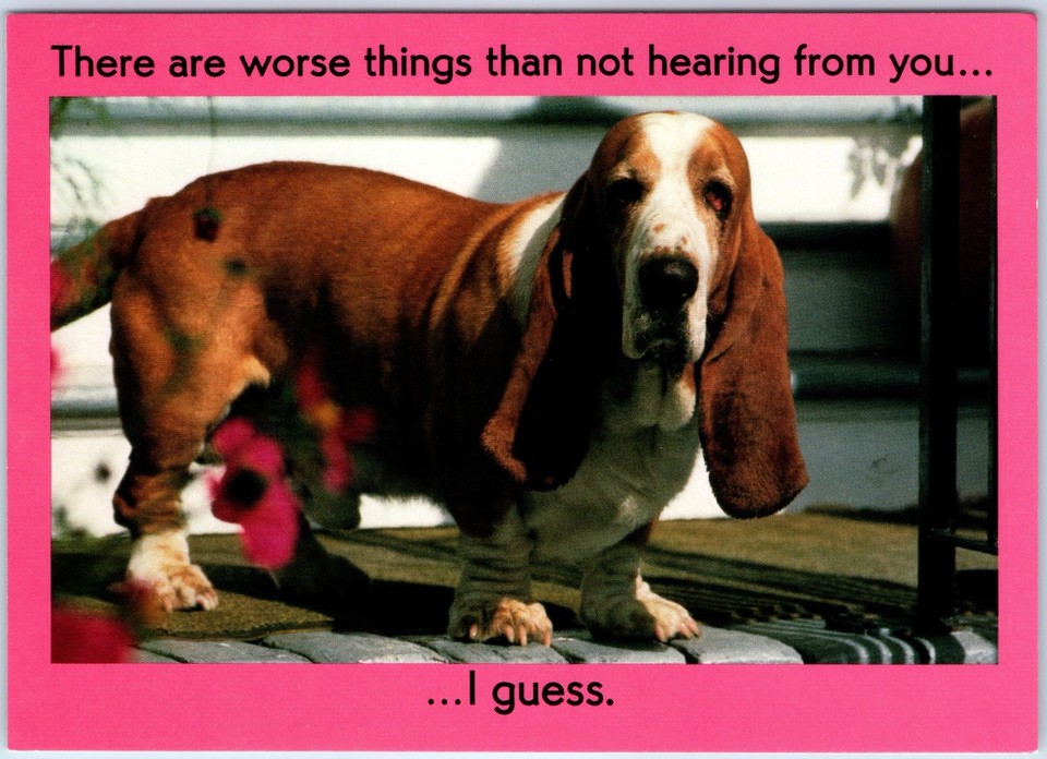 c1990s Postcard Basset Hound Dog Humor There Are Worse Things 4x6 PC ...