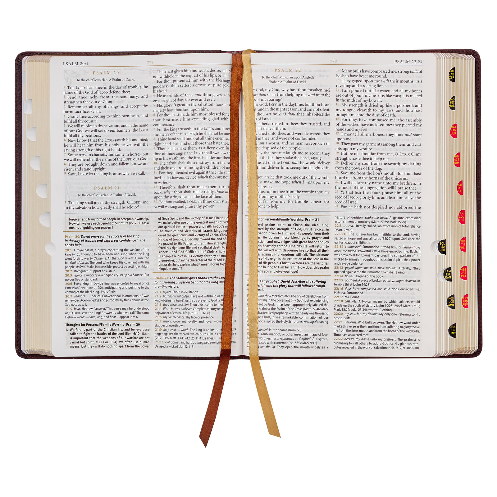 KJV Study Bible, Large Print King James Version Holy Bible, Thumb Tabs ...