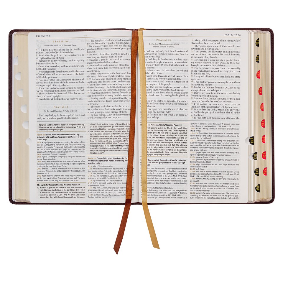 KJV Study Bible, Large Print King James Version Holy Bible, Thumb Tabs ...
