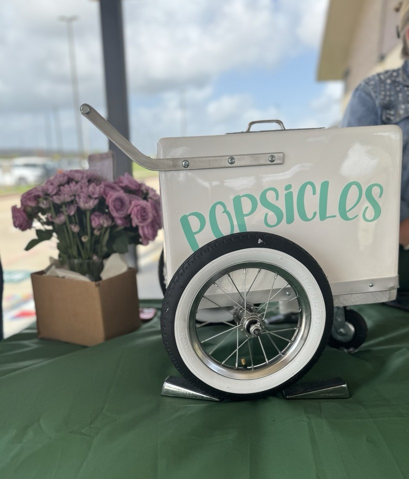 Popsicle Cart | eBay