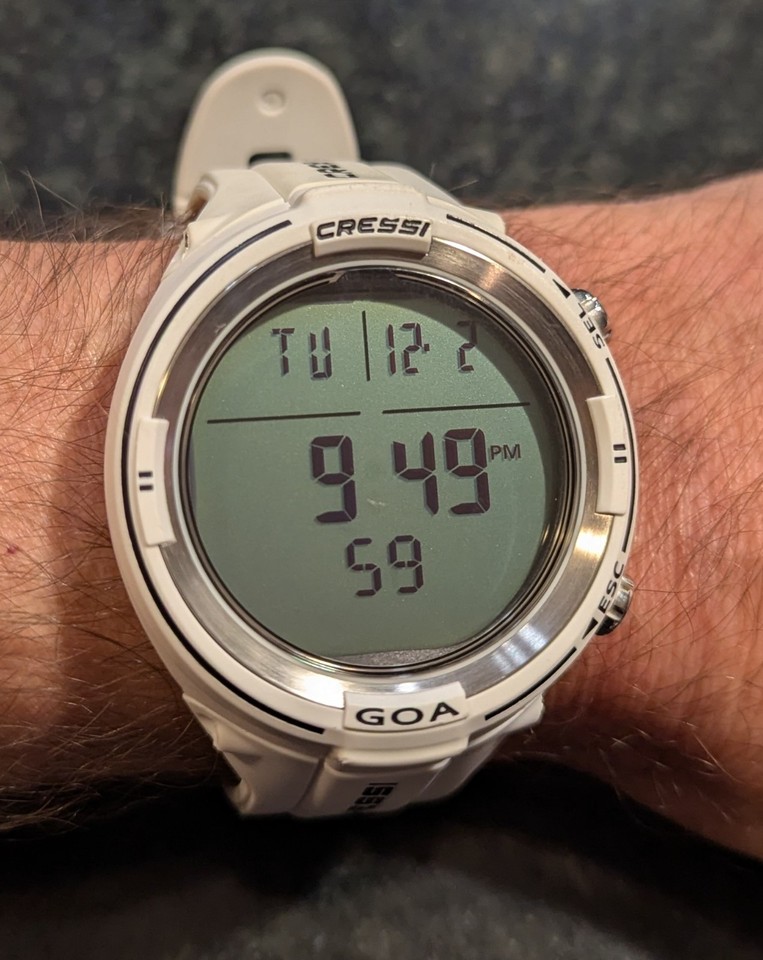 Cressi Goa Dive Watch Computer Air/Nitrox, Freediving, Gage, white ...