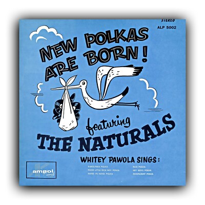 THE NATURALS BAND POLISH POLKA LP "NEW POLKAS ARE BORN" SUPER POLKA LP ...