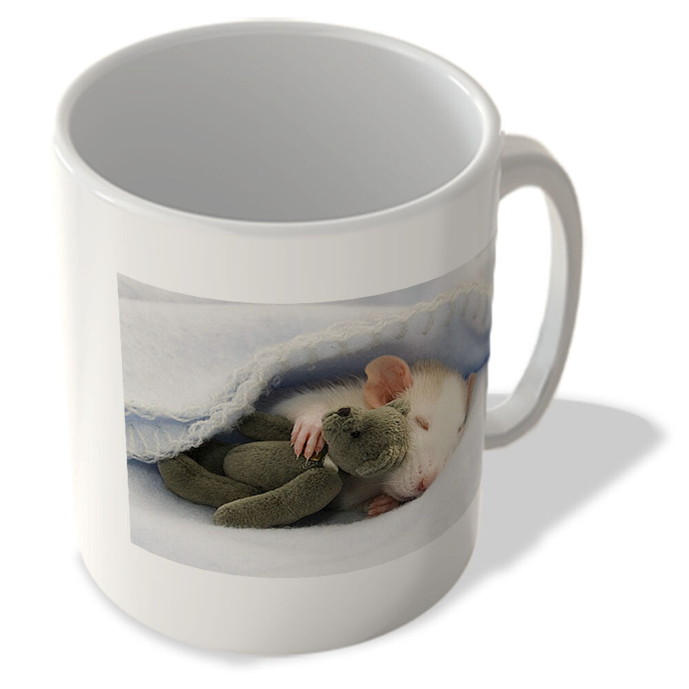 Rat Napping With Teddy